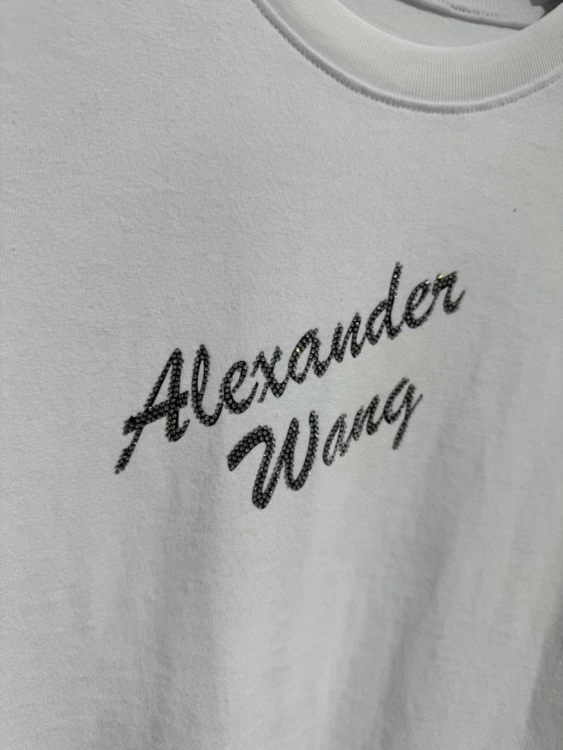 Budget-friendly Alexander Wang T-Shirts
