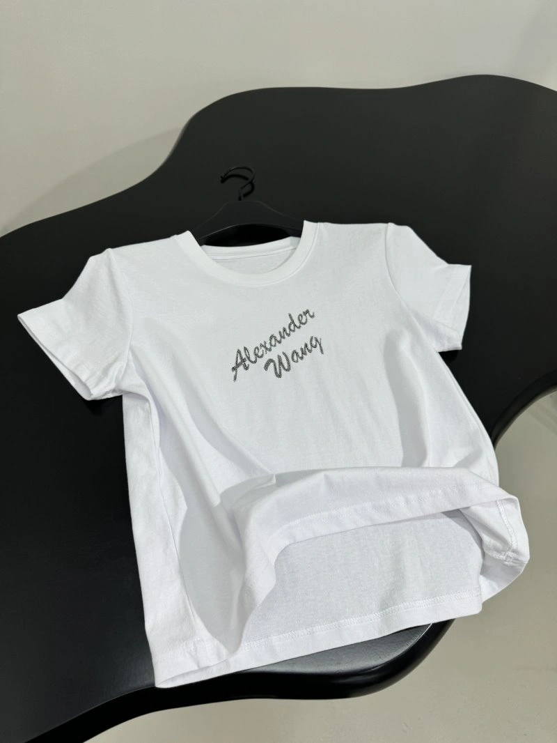 Budget-friendly Alexander Wang T-Shirts