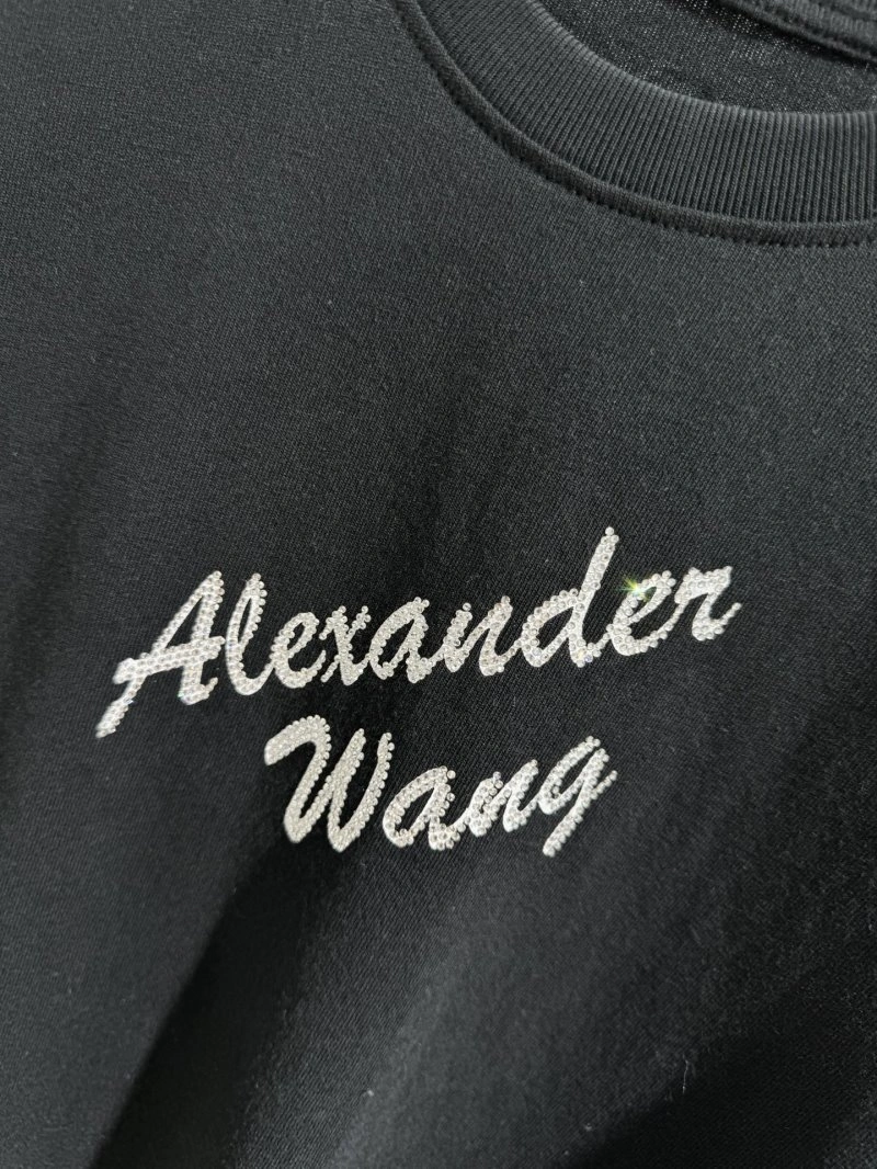Mirror quality Alexander Wang T-Shirts