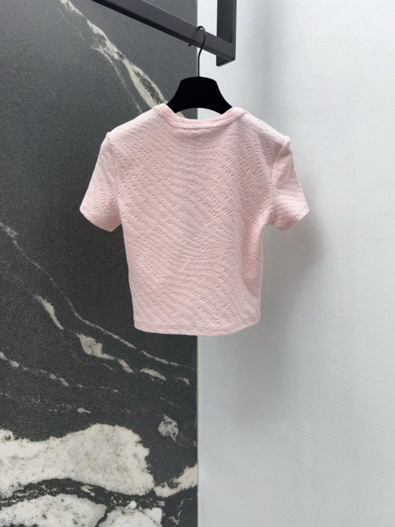 1:1 copy Alexander Wang T-Shirts