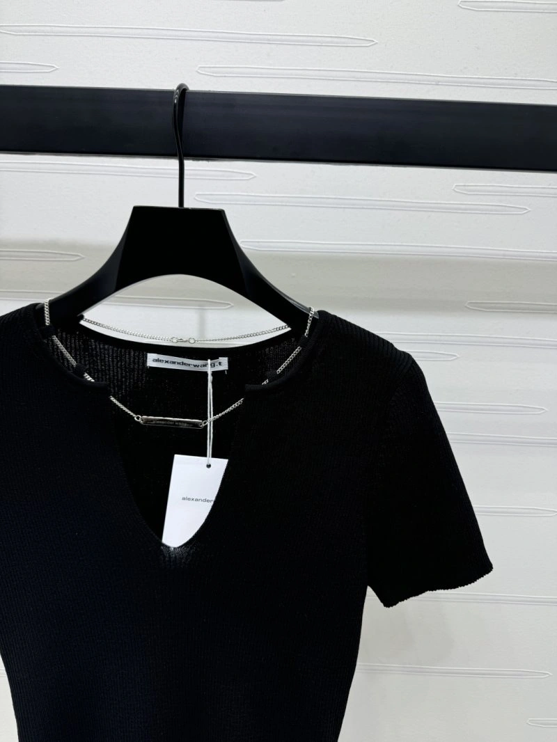 Original Alexander Wang T-Shirts