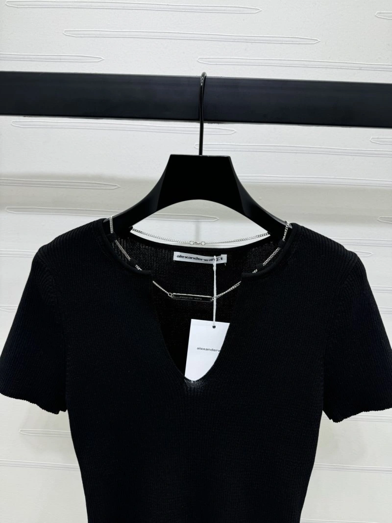 Original Alexander Wang T-Shirts