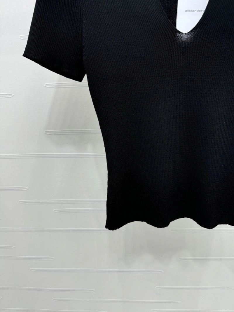 Original Alexander Wang T-Shirts