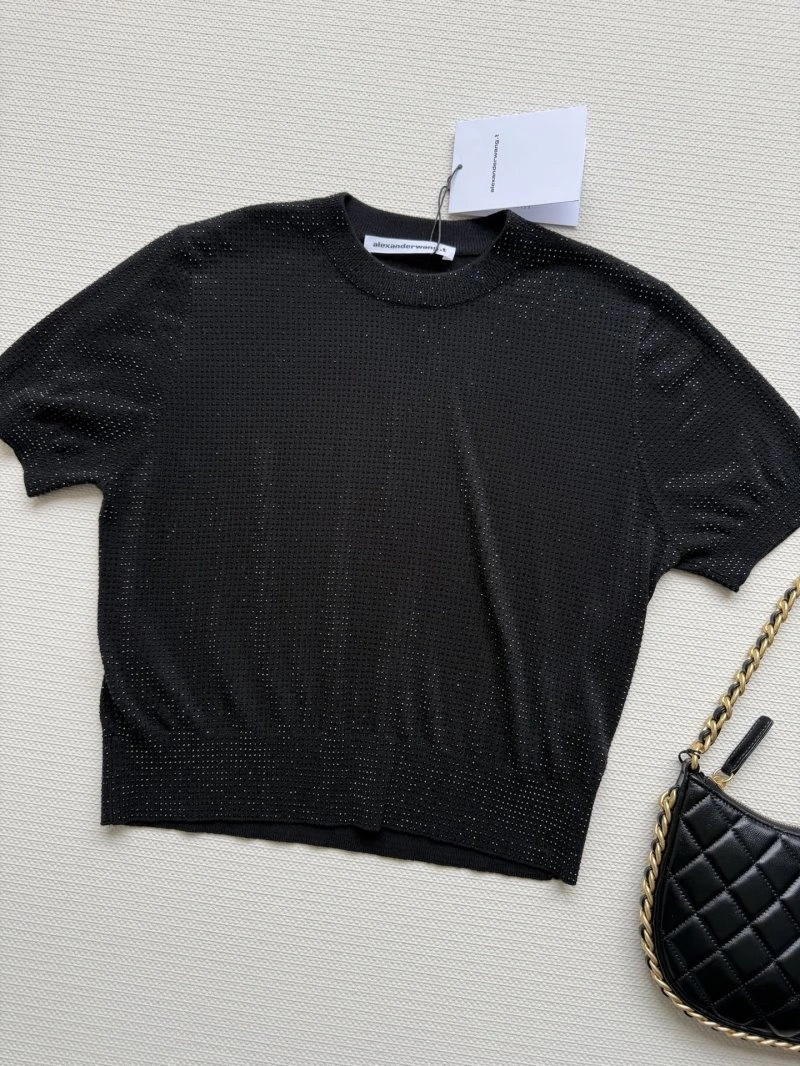 Accurate model Alexander Wang T-Shirts