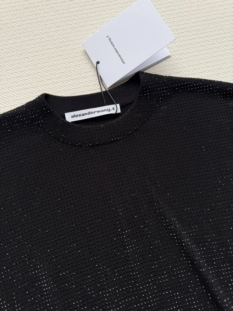 Accurate model Alexander Wang T-Shirts