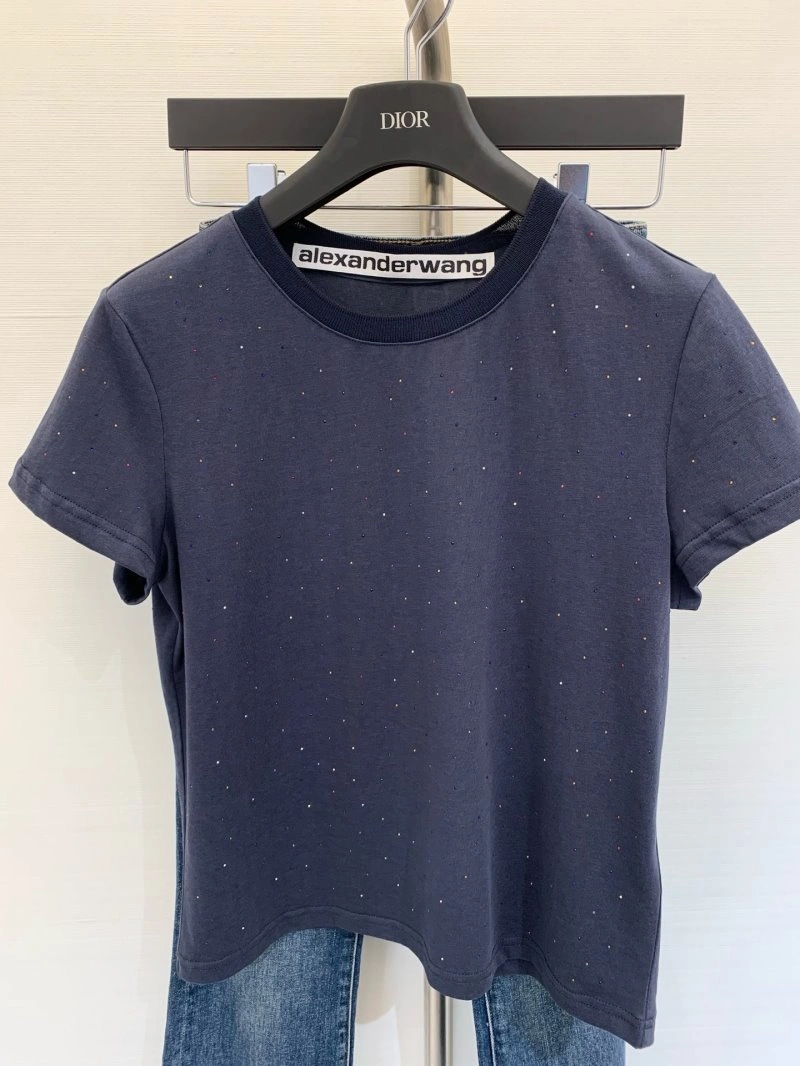 High accuracy Alexander Wang T-Shirts
