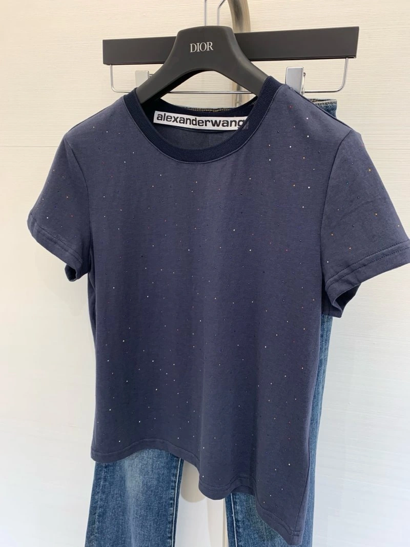 High accuracy Alexander Wang T-Shirts