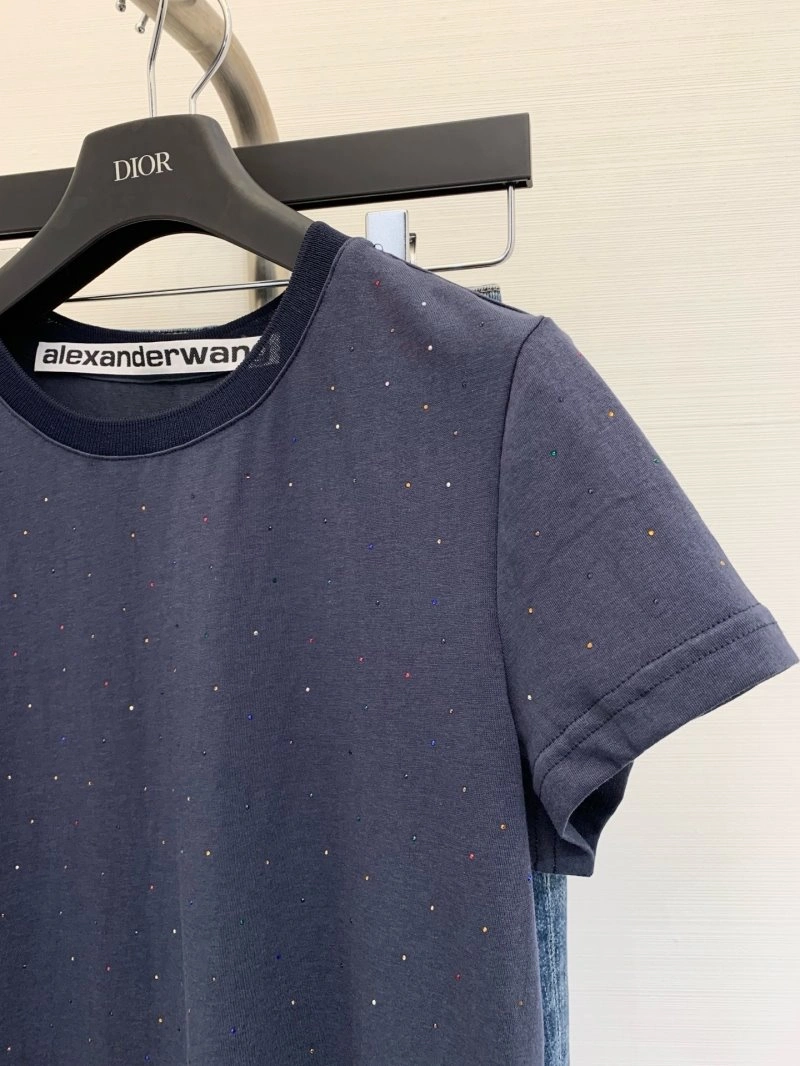 High accuracy Alexander Wang T-Shirts