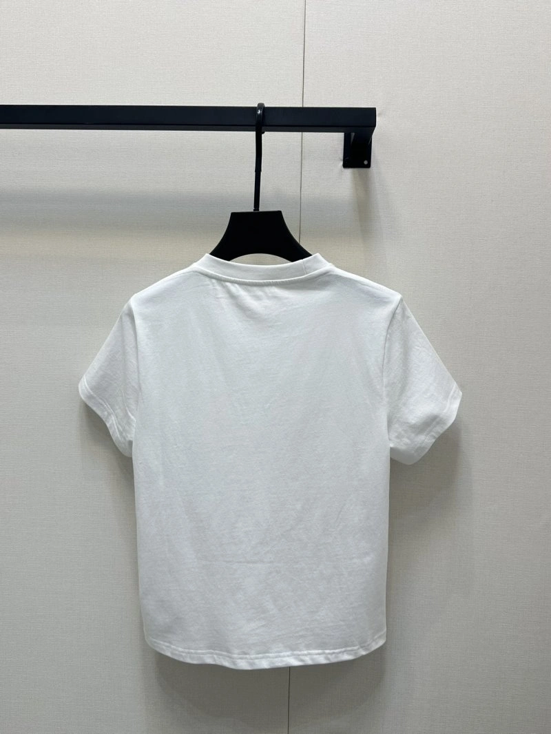 High fidelity Alexander Wang T-Shirts
