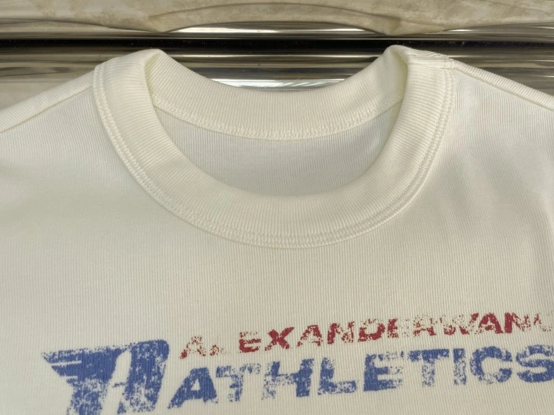Cut-rate Alexander Wang T-Shirts