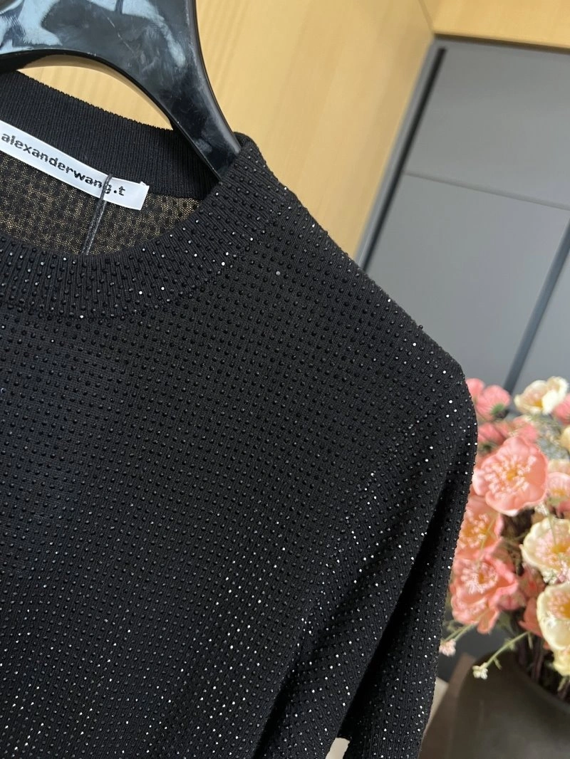 Discounted Alexander Wang T-Shirts