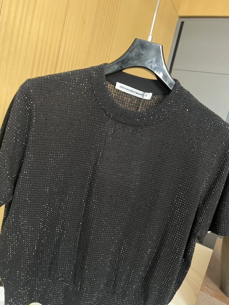 Discounted Alexander Wang T-Shirts