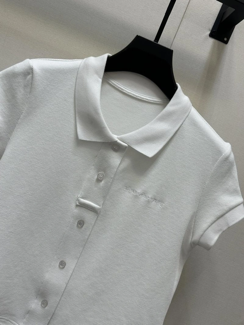 Reasonably priced Alexander Wang T-Shirts