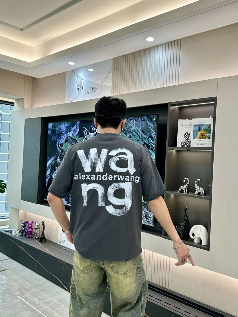 Accurate model Alexander Wang T-Shirts