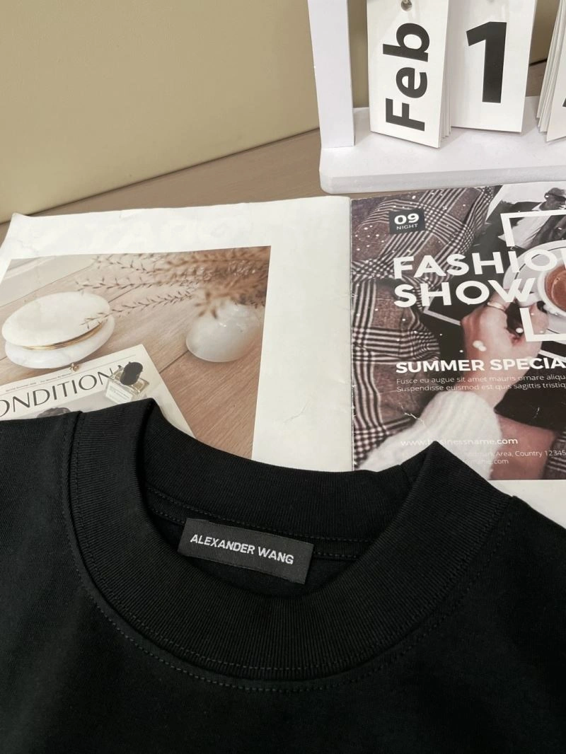 High fidelity Alexander Wang T-Shirts