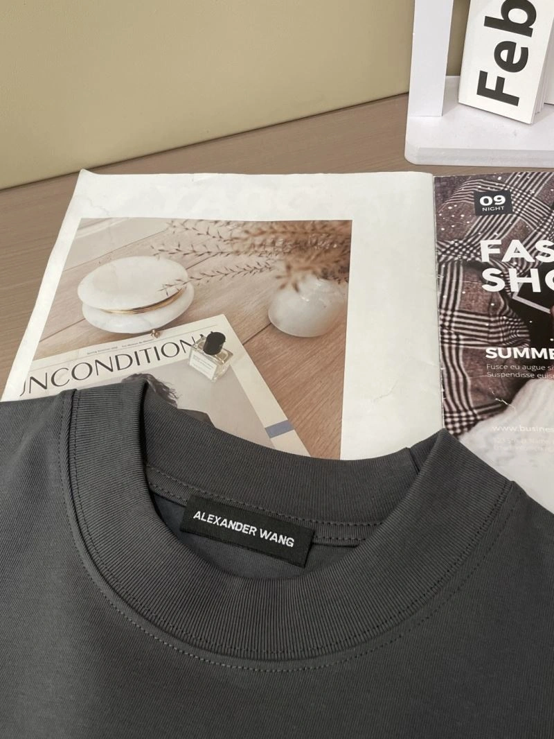 Precise copy Alexander Wang T-Shirts