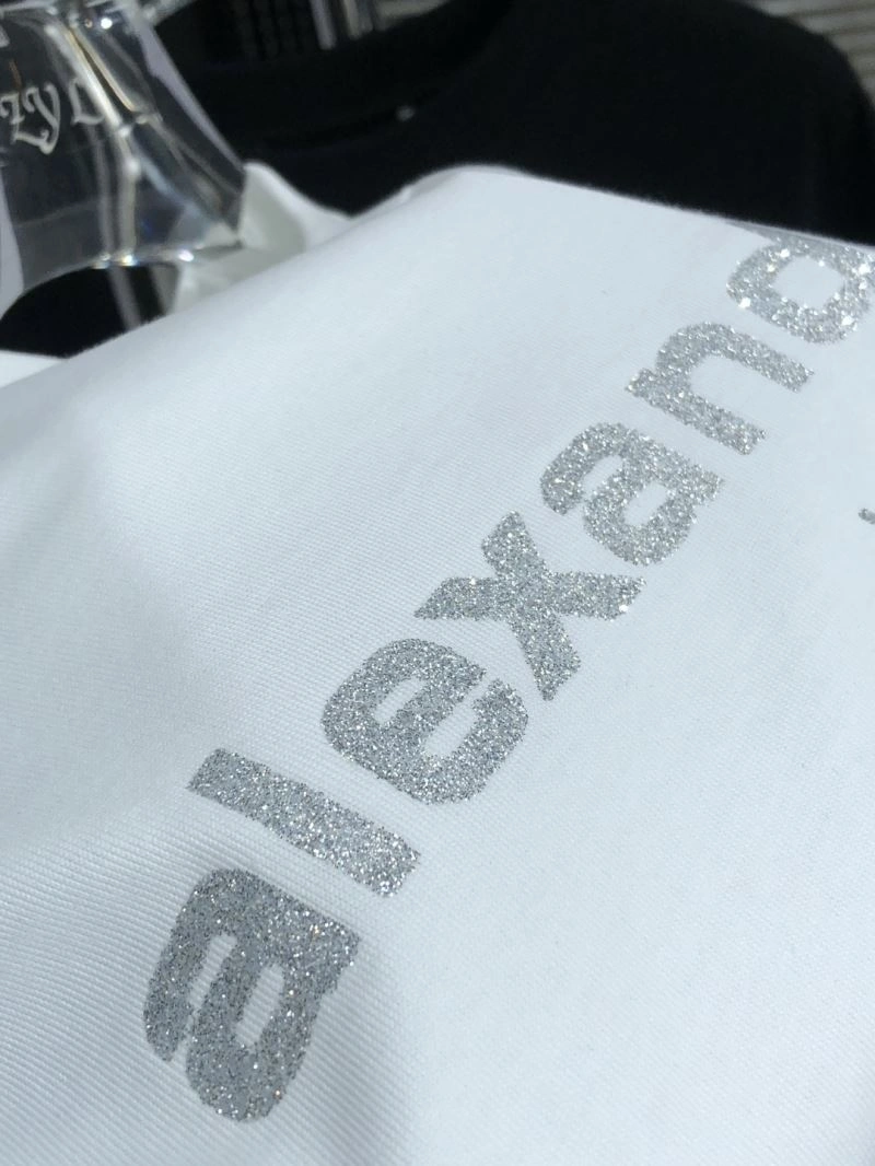 Economical Alexander Wang T-Shirts