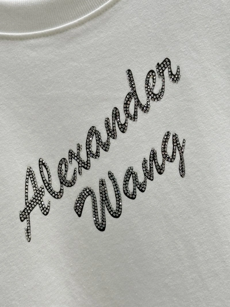 Cut-rate Alexander Wang T-Shirts