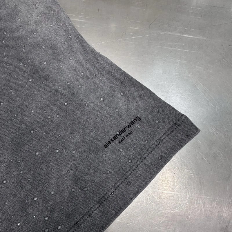 Indistinguishable Alexander Wang Vest