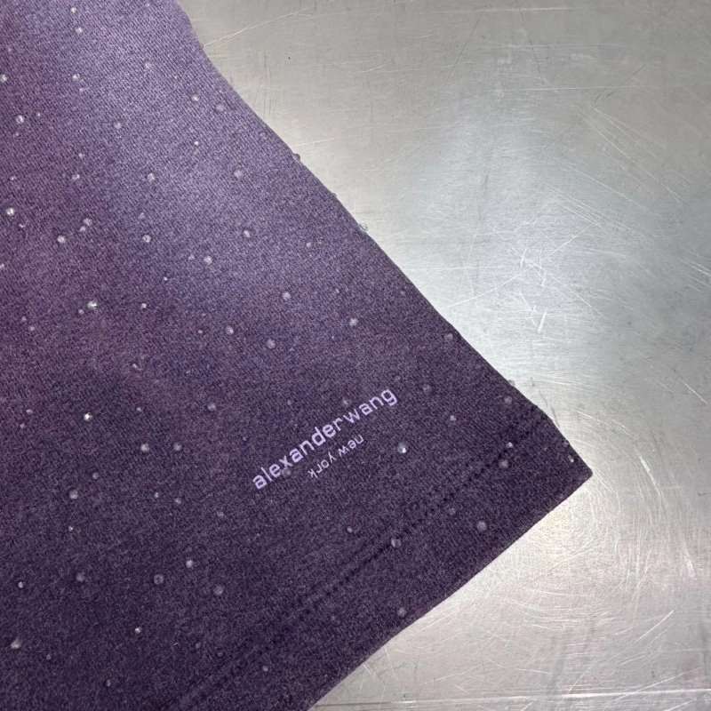 Economical Alexander Wang Vest
