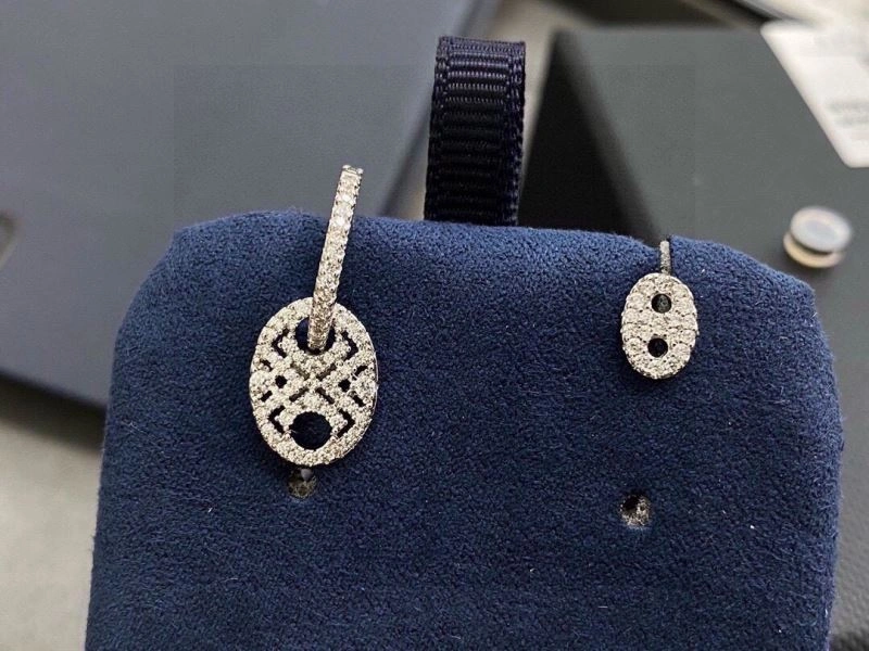 Indistinguishable Apm Earrings