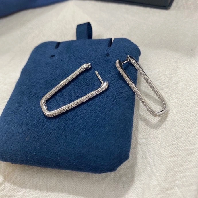 Cut-rate Apm Earrings
