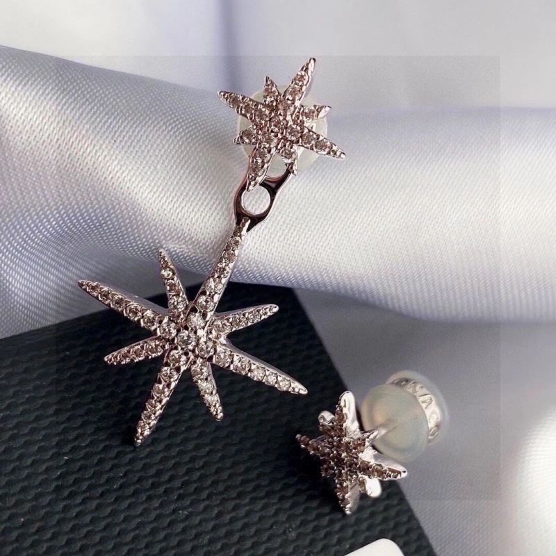 Precise copy Apm Earrings
