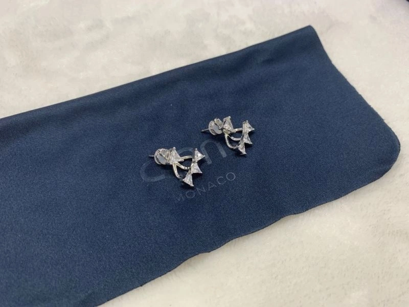 Accurate model Apm Earrings