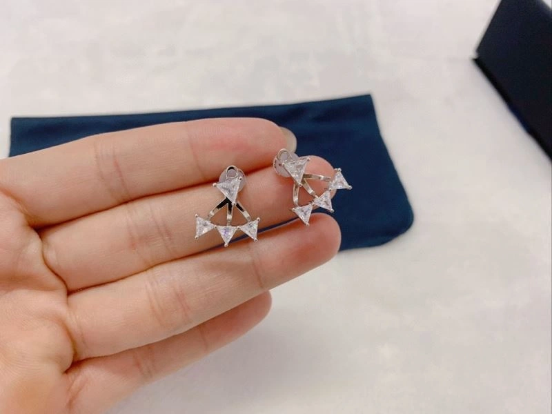 Accurate model Apm Earrings