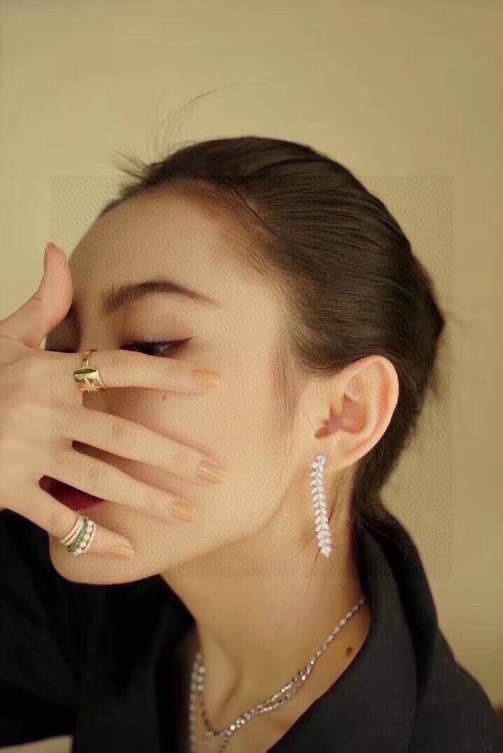 High accuracy Apm Earrings