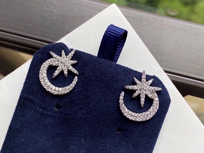 Accurate model Apm Earrings
