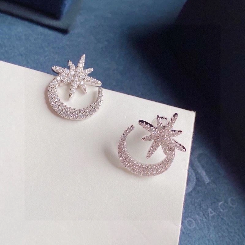 Accurate model Apm Earrings