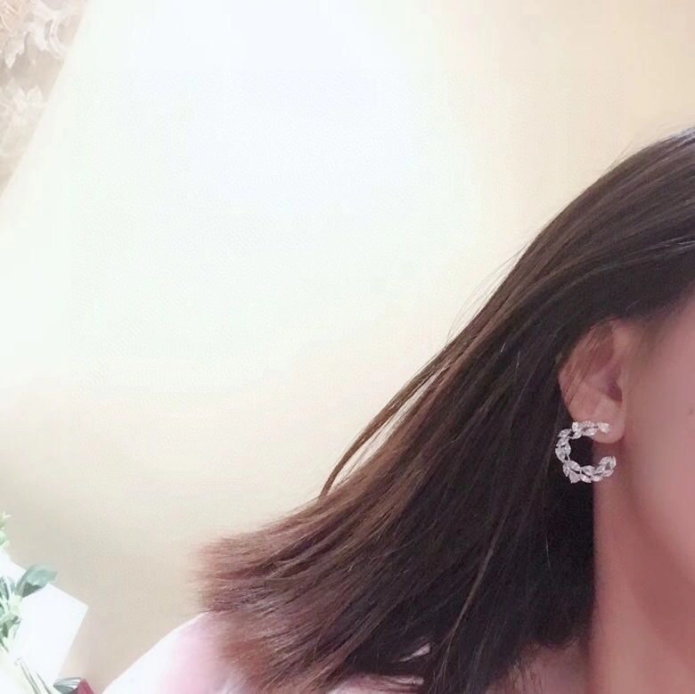 Inexpensive Apm Earrings