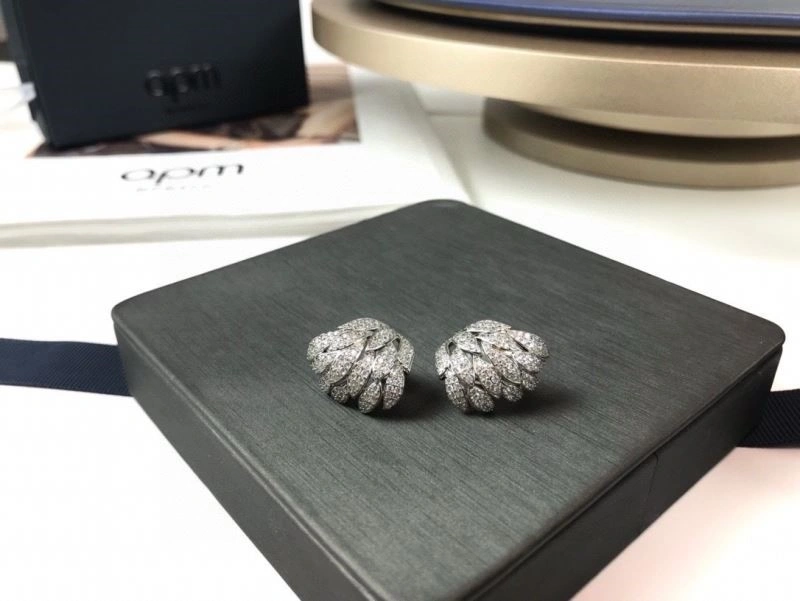 Indistinguishable Apm Earrings