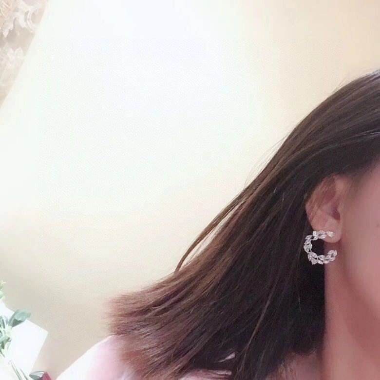 Accurate model Apm Earrings