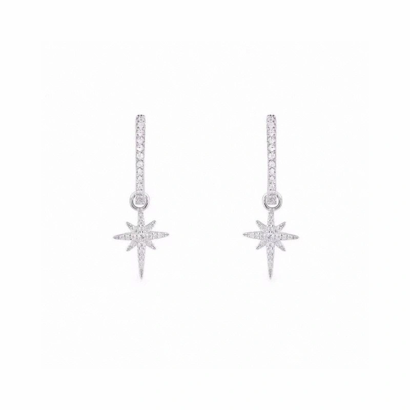 Apm Earrings