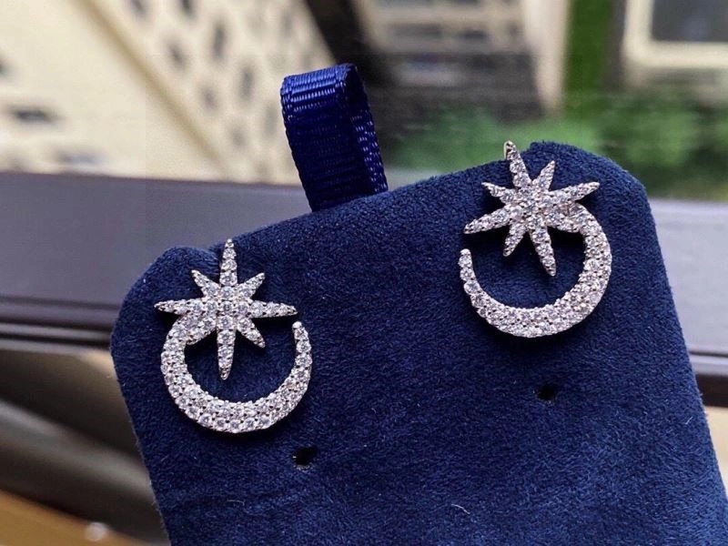 Reasonably priced Apm Earrings