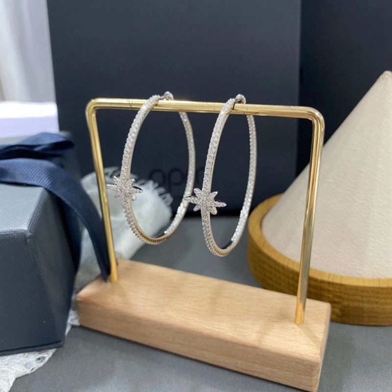 Factory-made Apm Earrings