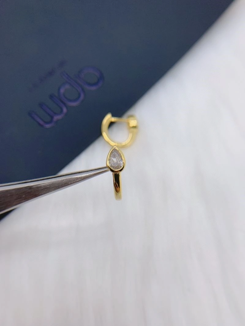 Reasonably priced Apm Earrings