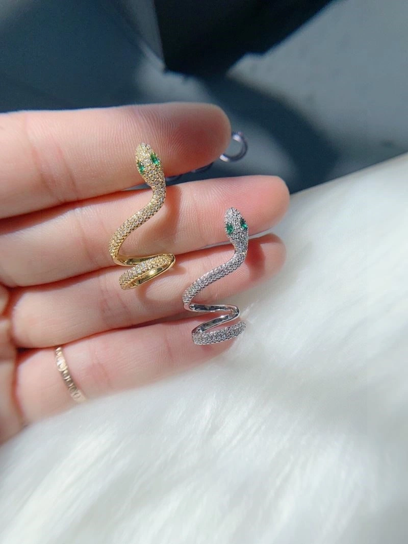 Accurate model Apm Earrings