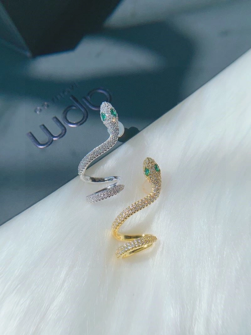 Accurate model Apm Earrings
