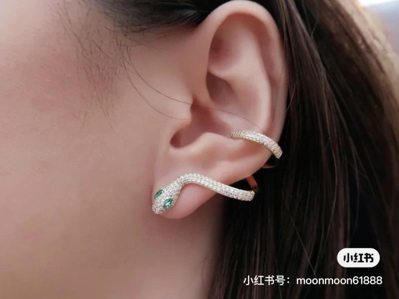 Accurate model Apm Earrings