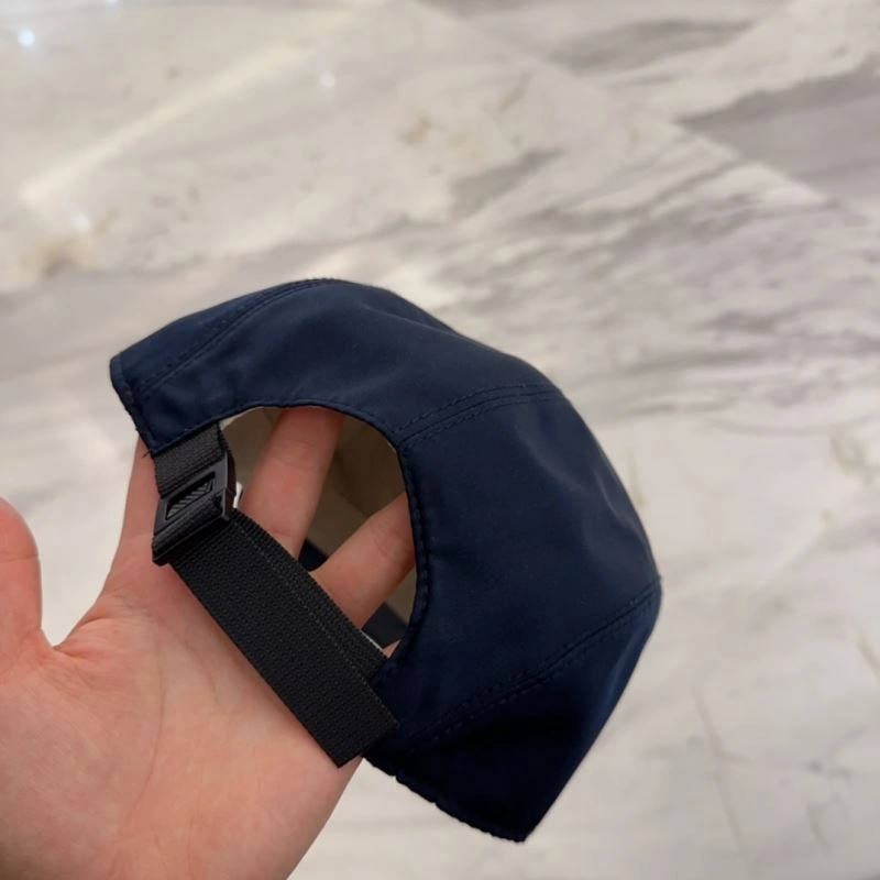 Accurate model Arcteryx Caps