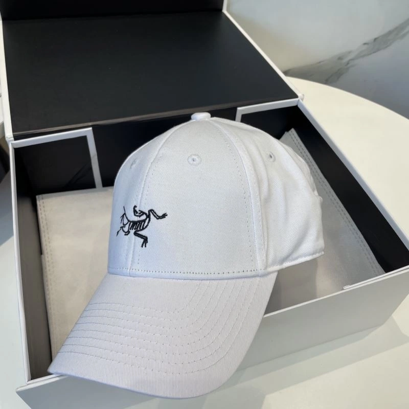 Inexpensive Arcteryx Caps