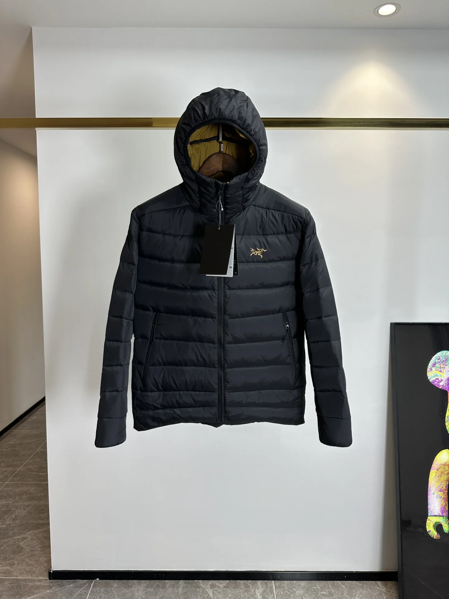 Exact replica Arcteryx Down Jackets