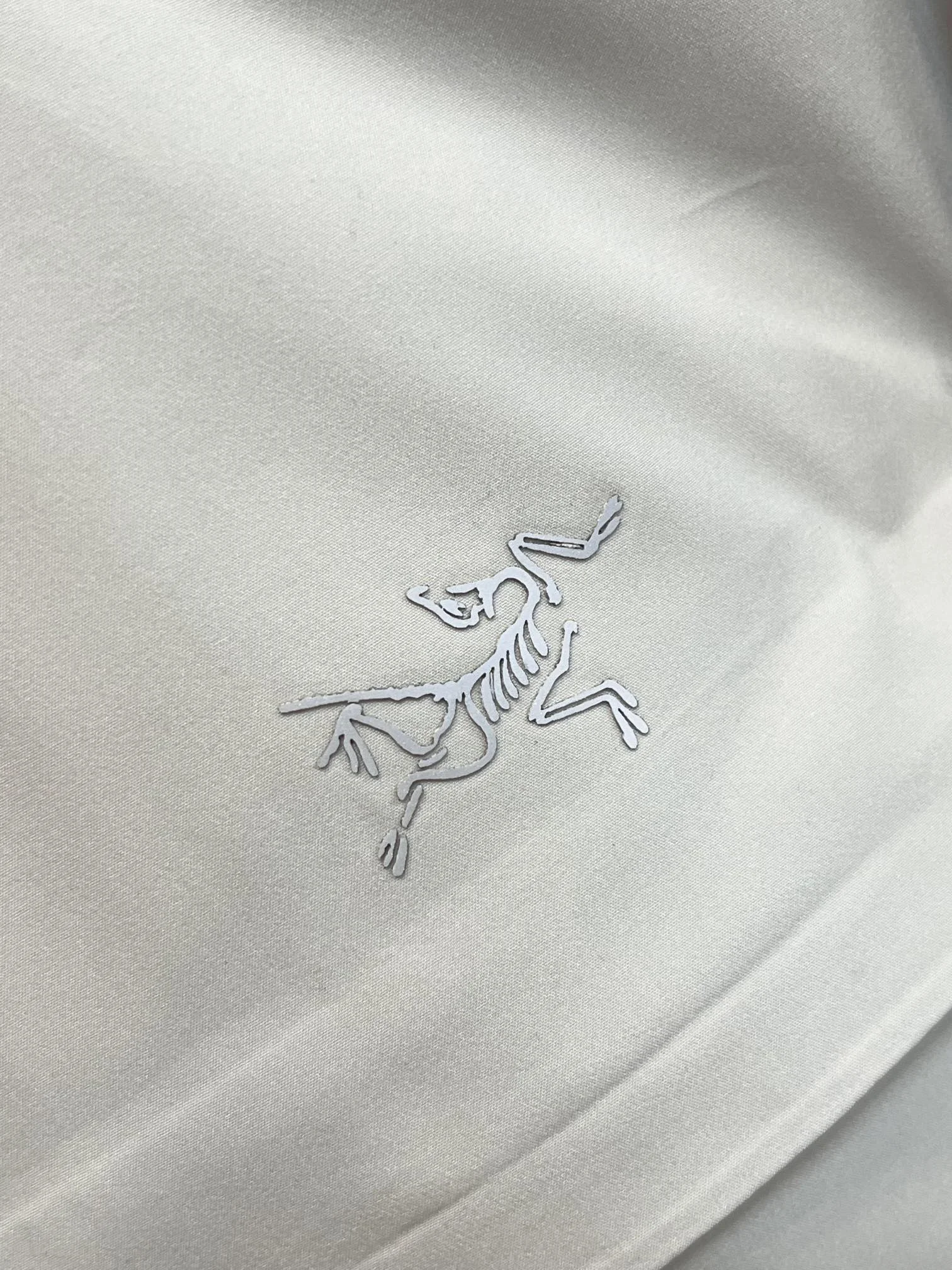 1:1 copy Arcteryx Down Jackets