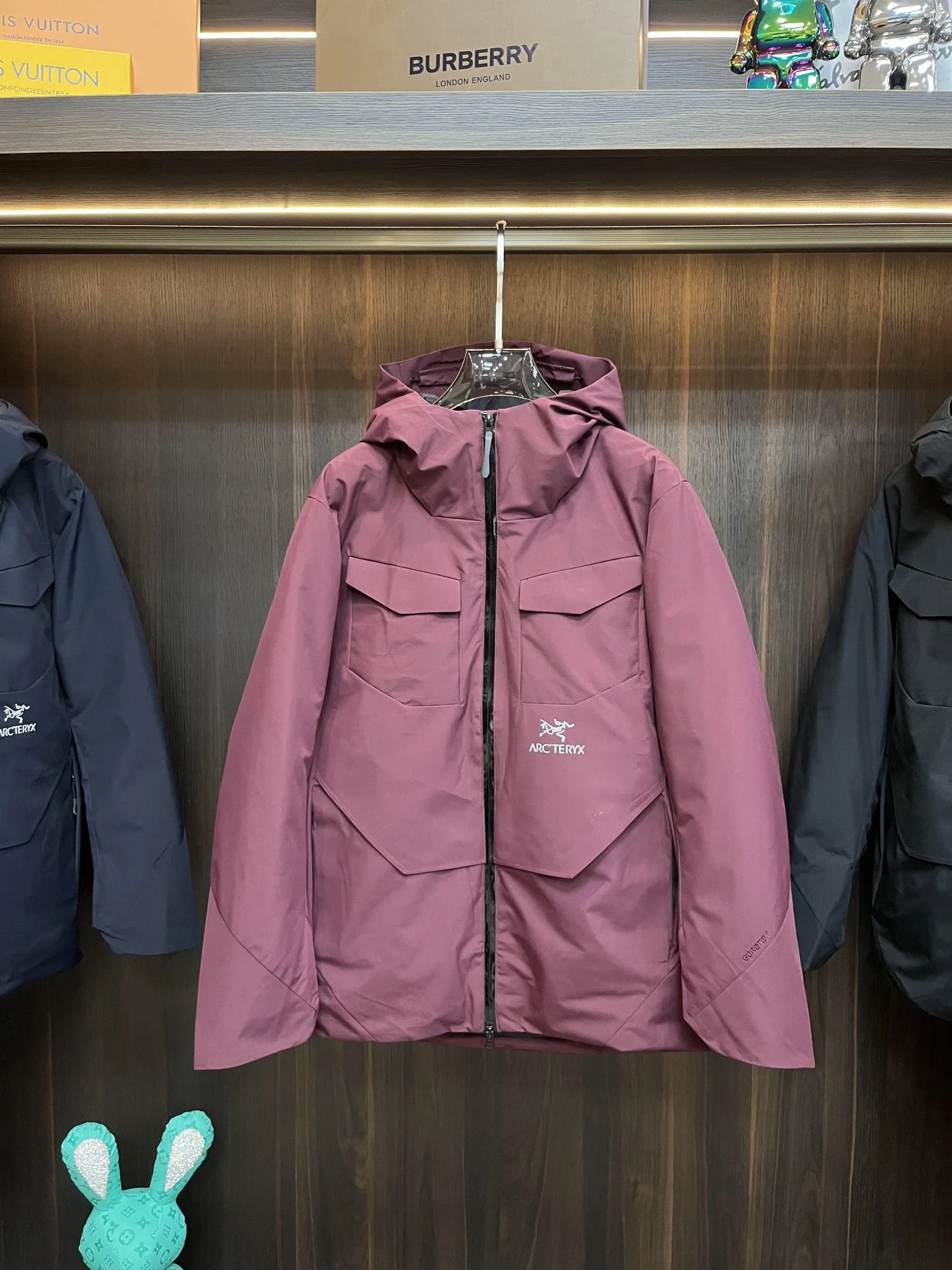 Arcteryx Down Jackets