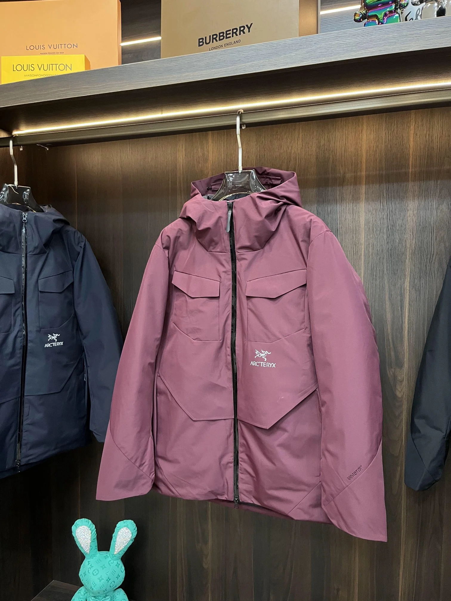 1:1 copy Arcteryx Down Jackets