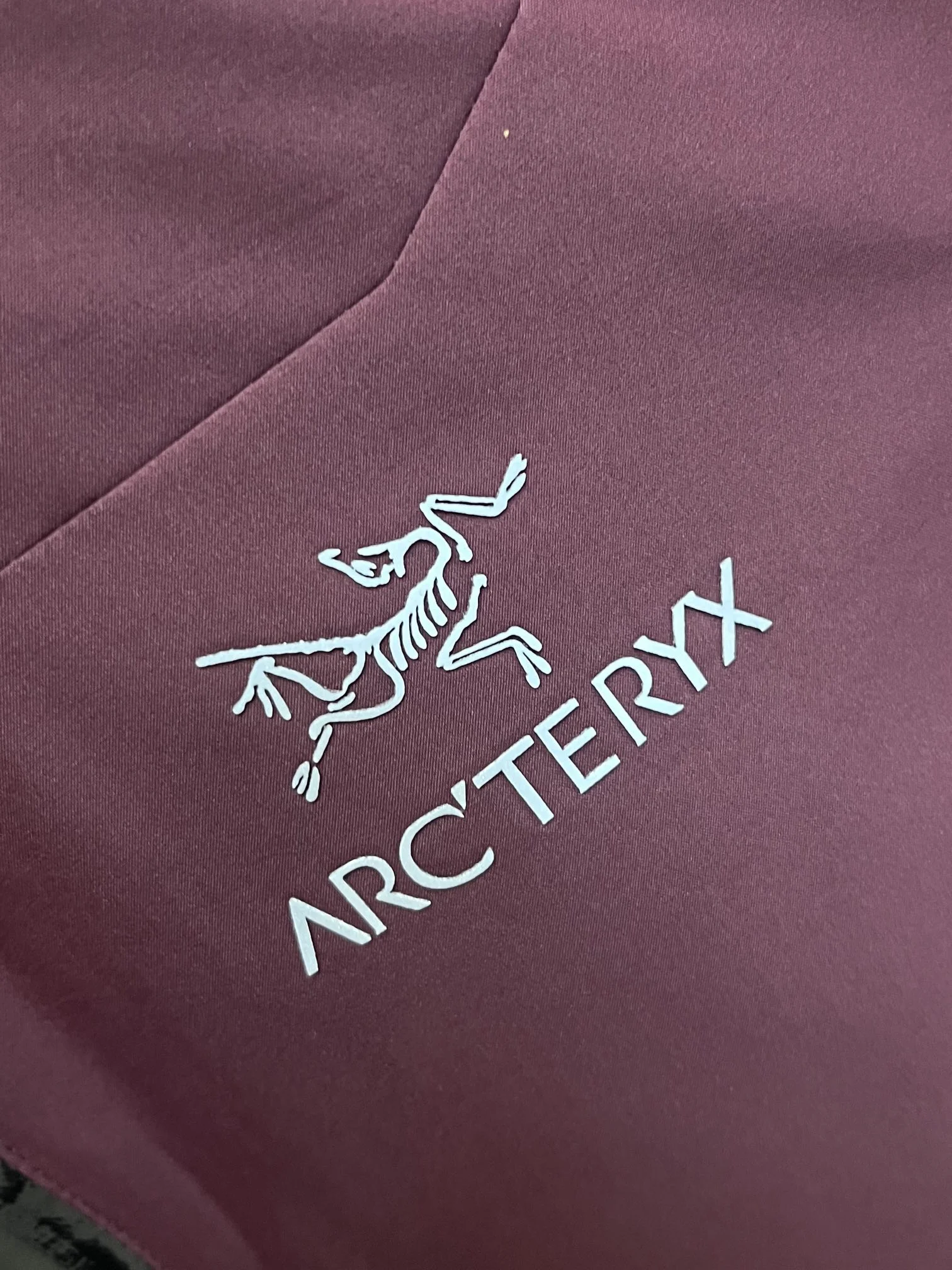 1:1 copy Arcteryx Down Jackets
