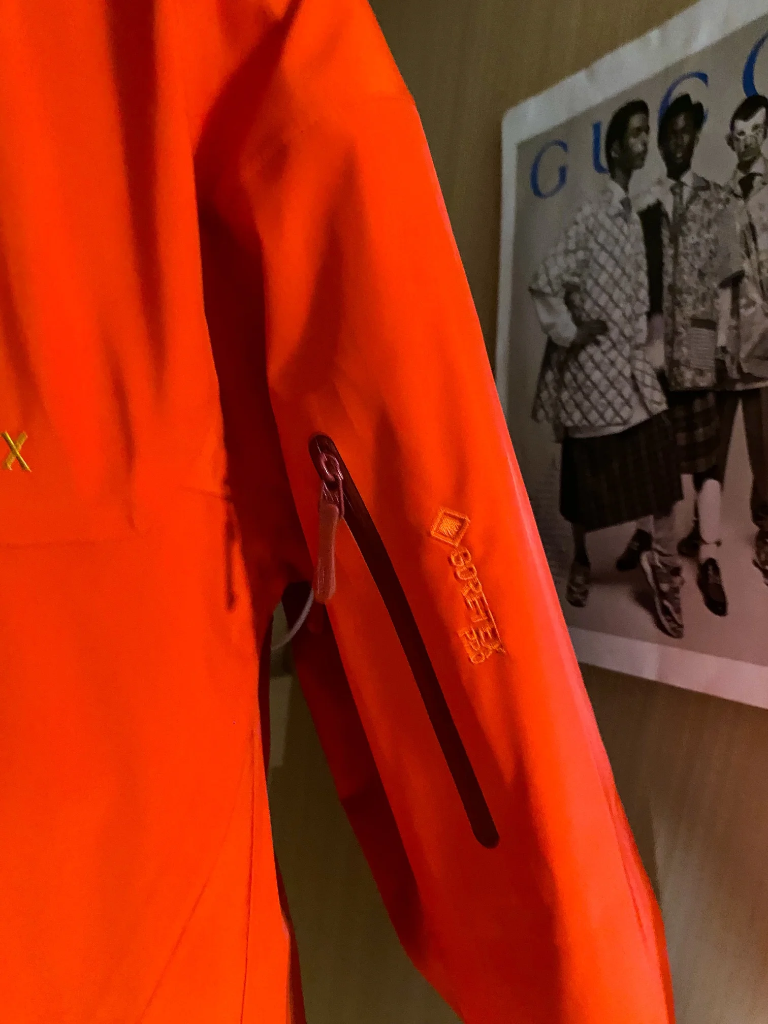 Reasonably priced Arcteryx Down Jackets